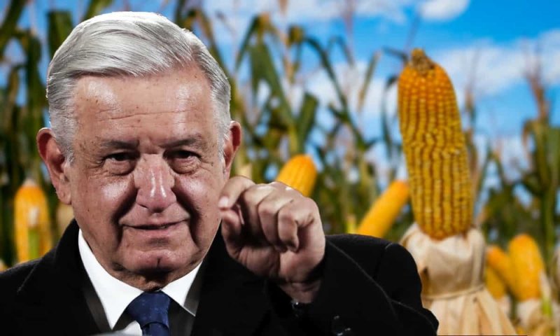 No hay ruptura con EE.UU. por decreto de maíz transgénico: AMLO